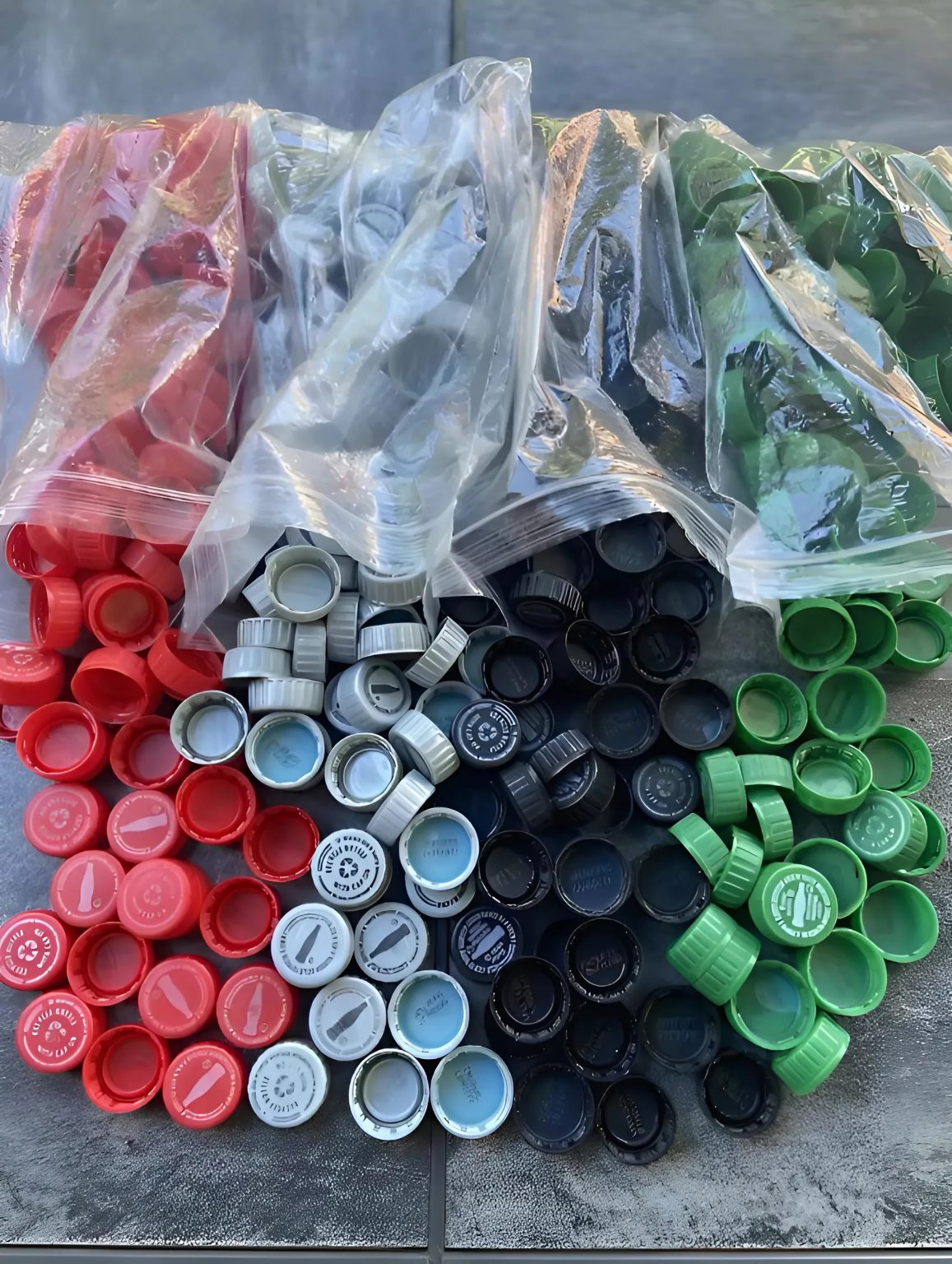I Laughed at My Sister for Collecting Plastic Bottle Caps — But What ...